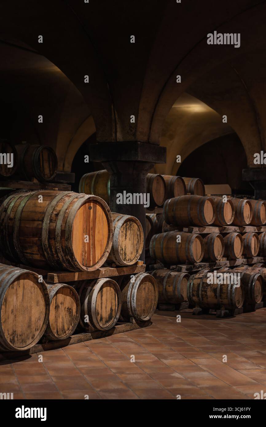 Wooden barrels and casks in a historic cellar with a vaulted ceiling ...