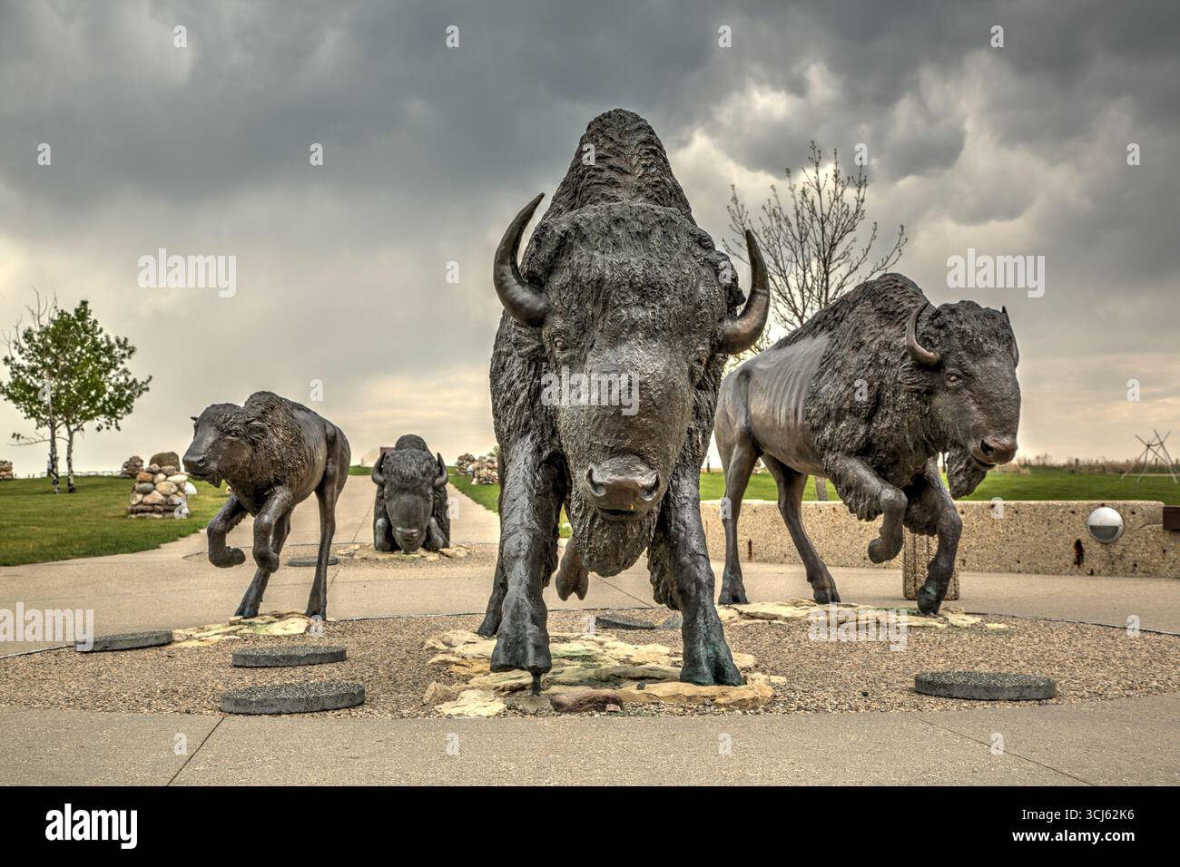 Buffalo statues on display at the Wanuskewin Heritage Park in Saskatoon ...