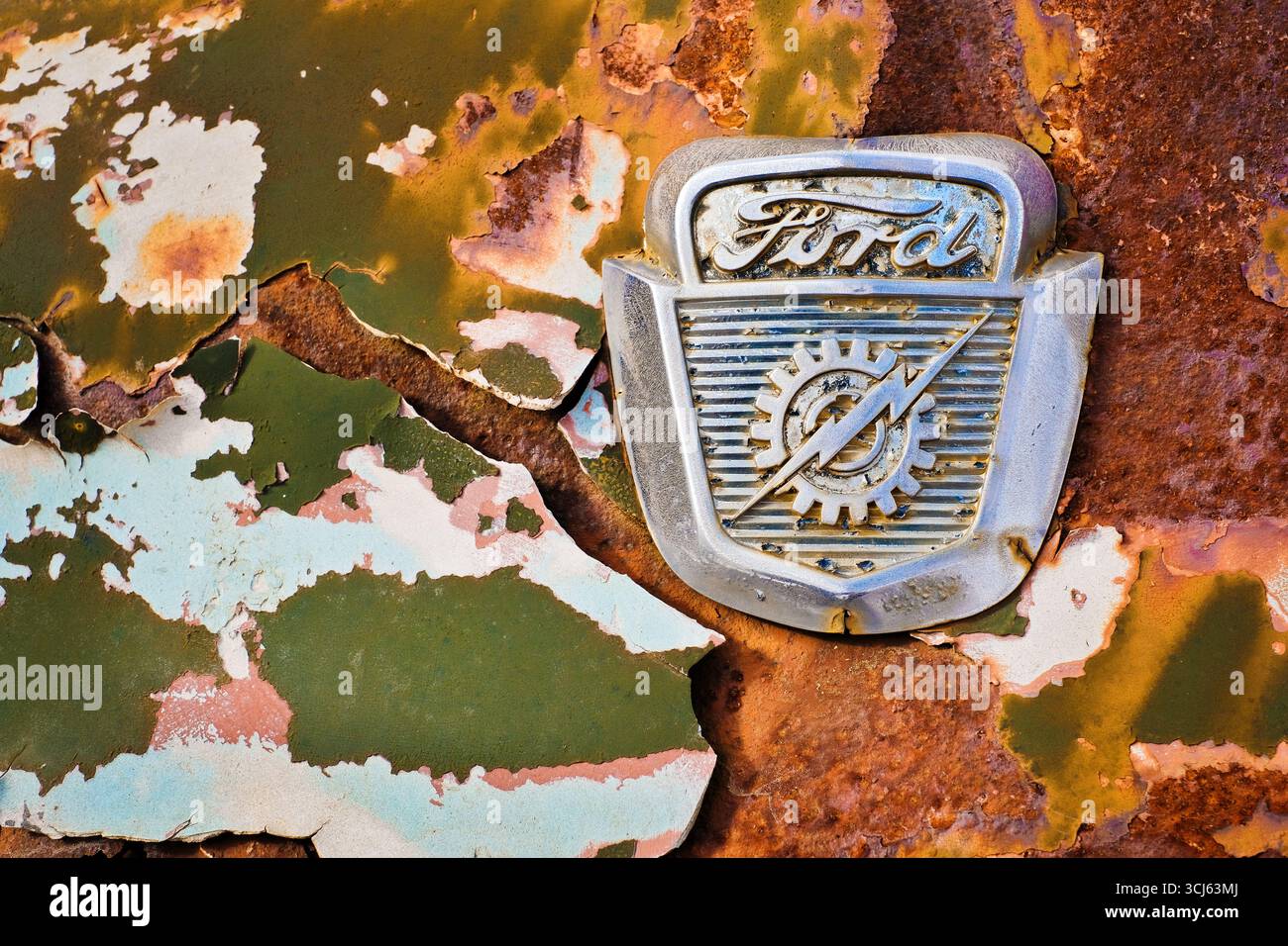 Old Ford Emblem on a heavily rusted, Ford car decaying in a NC salvage ...
