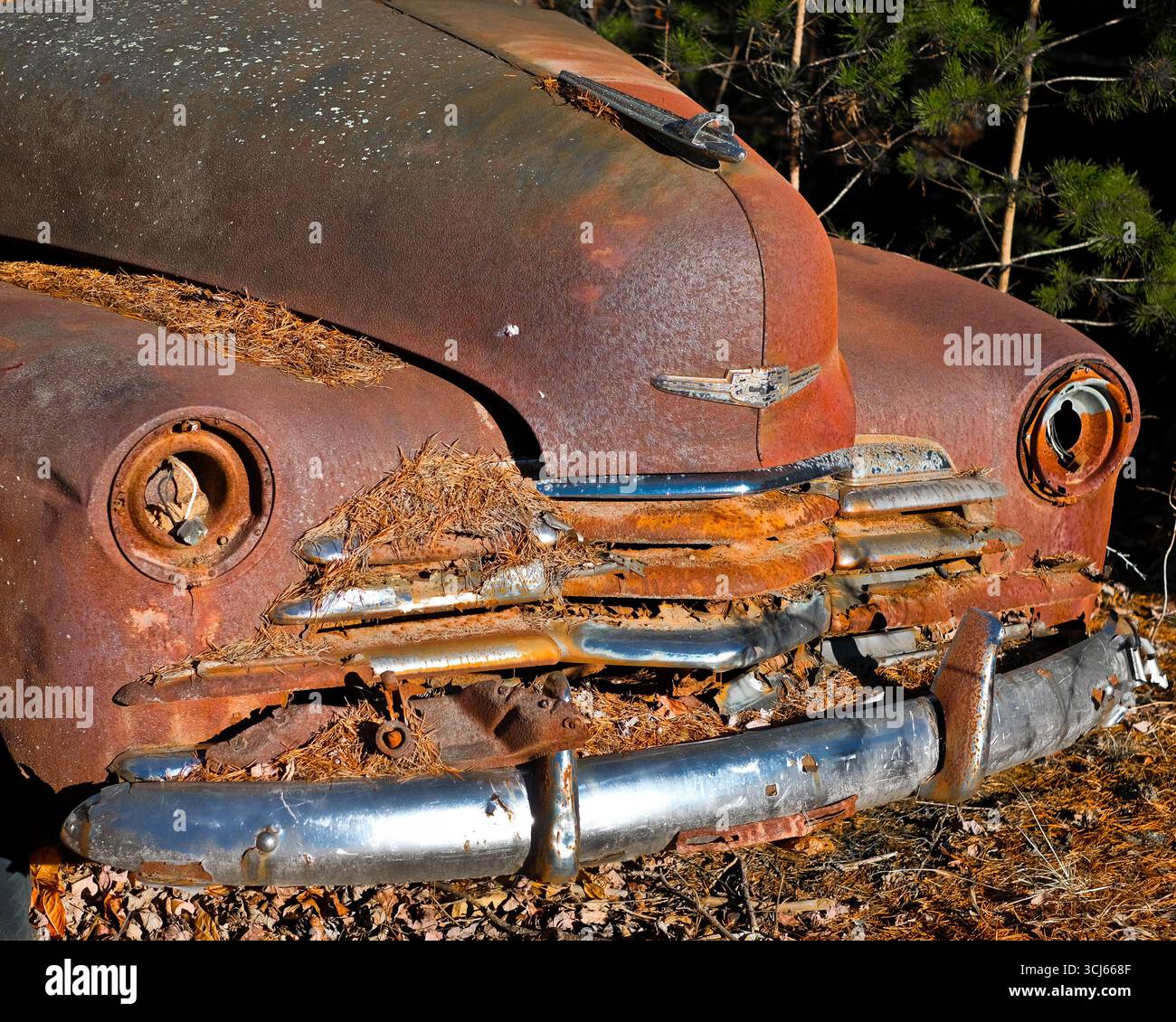 1947 Chevrolet Fleetmaster rusting away in a North Carolina Salvage ...
