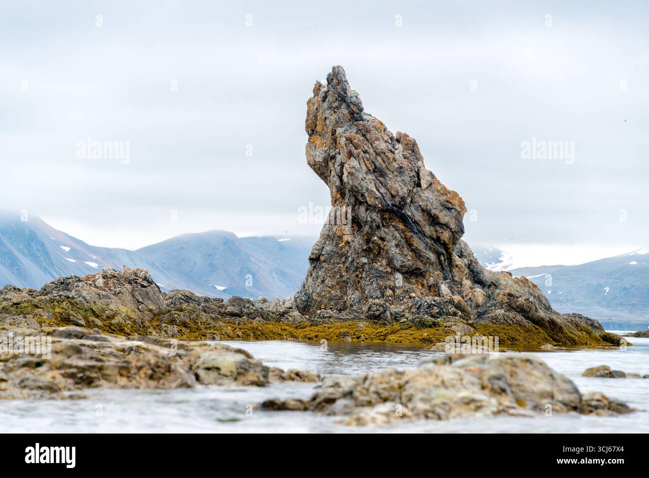 Subpolar environment hi-res stock photography and images - Alamy