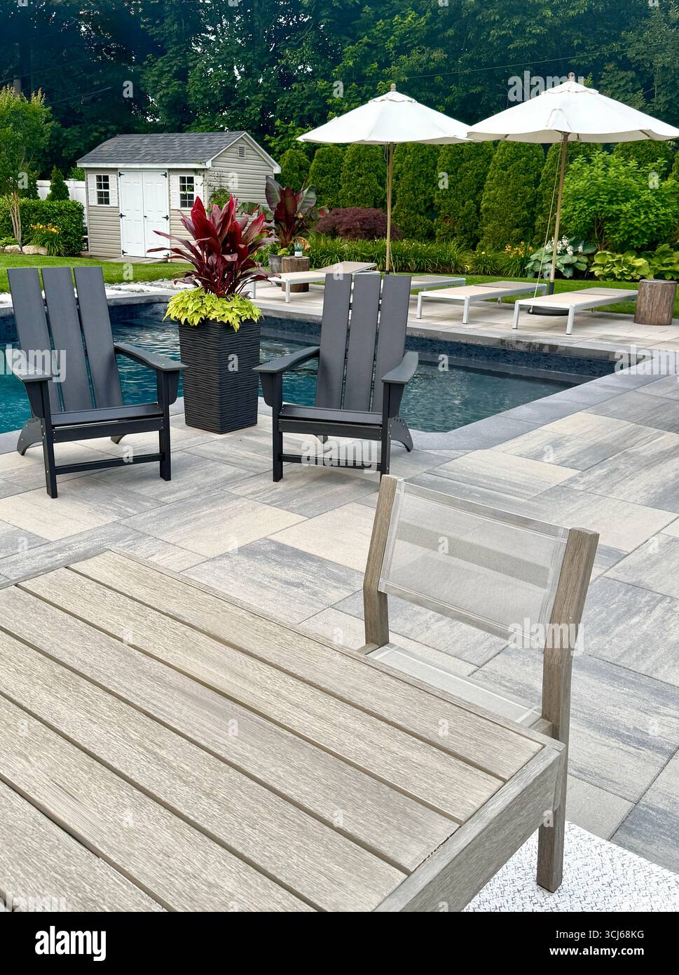 Modern luxury home backyard chaise lounge chair area with concrete ...