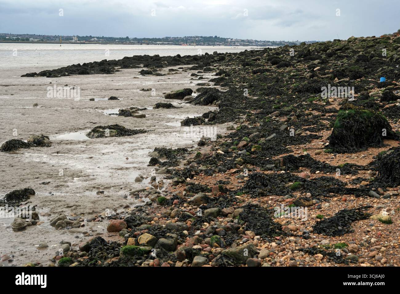Tilbury landfill hi-res stock photography and images - Alamy
