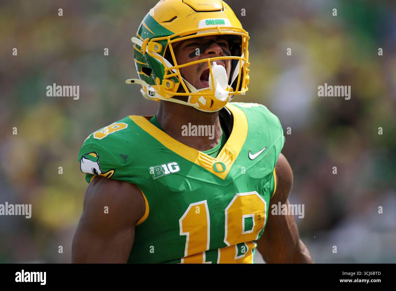 Oregon tight end Kenyon Sadiq (18) celebrates a play during the first ...