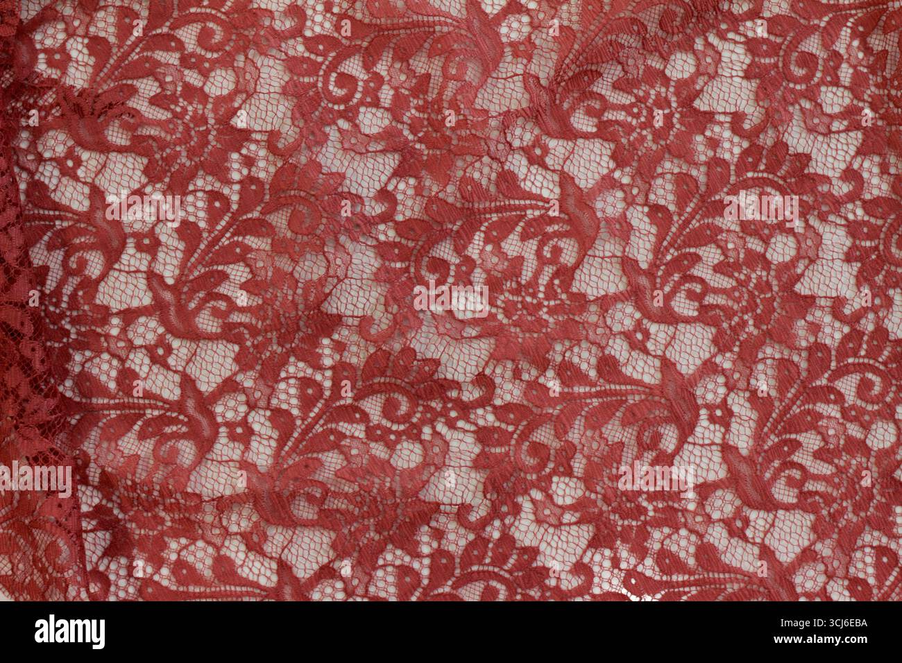 Elegant leaf motif hi-res stock photography and images - Alamy