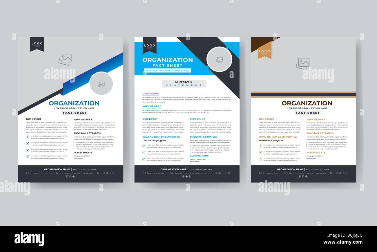 Nonprofit Organization Fact Sheet and Minimalist Organization Fact ...