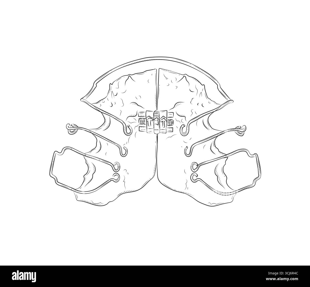 Orthodontic align teeth plate illustration drawing in graphic style ...