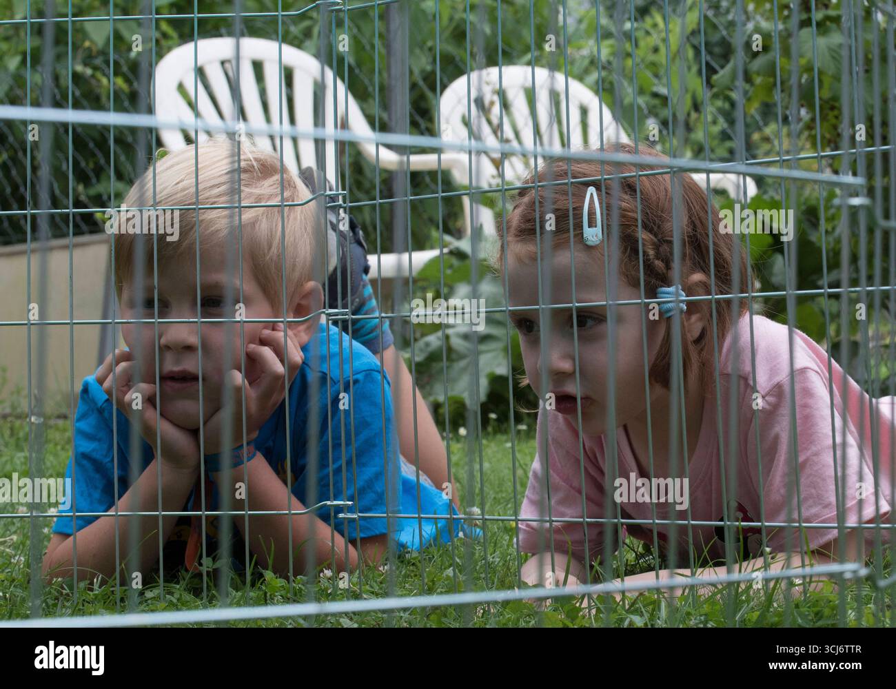 siblings growing up together in childhood as part of family siblings ...