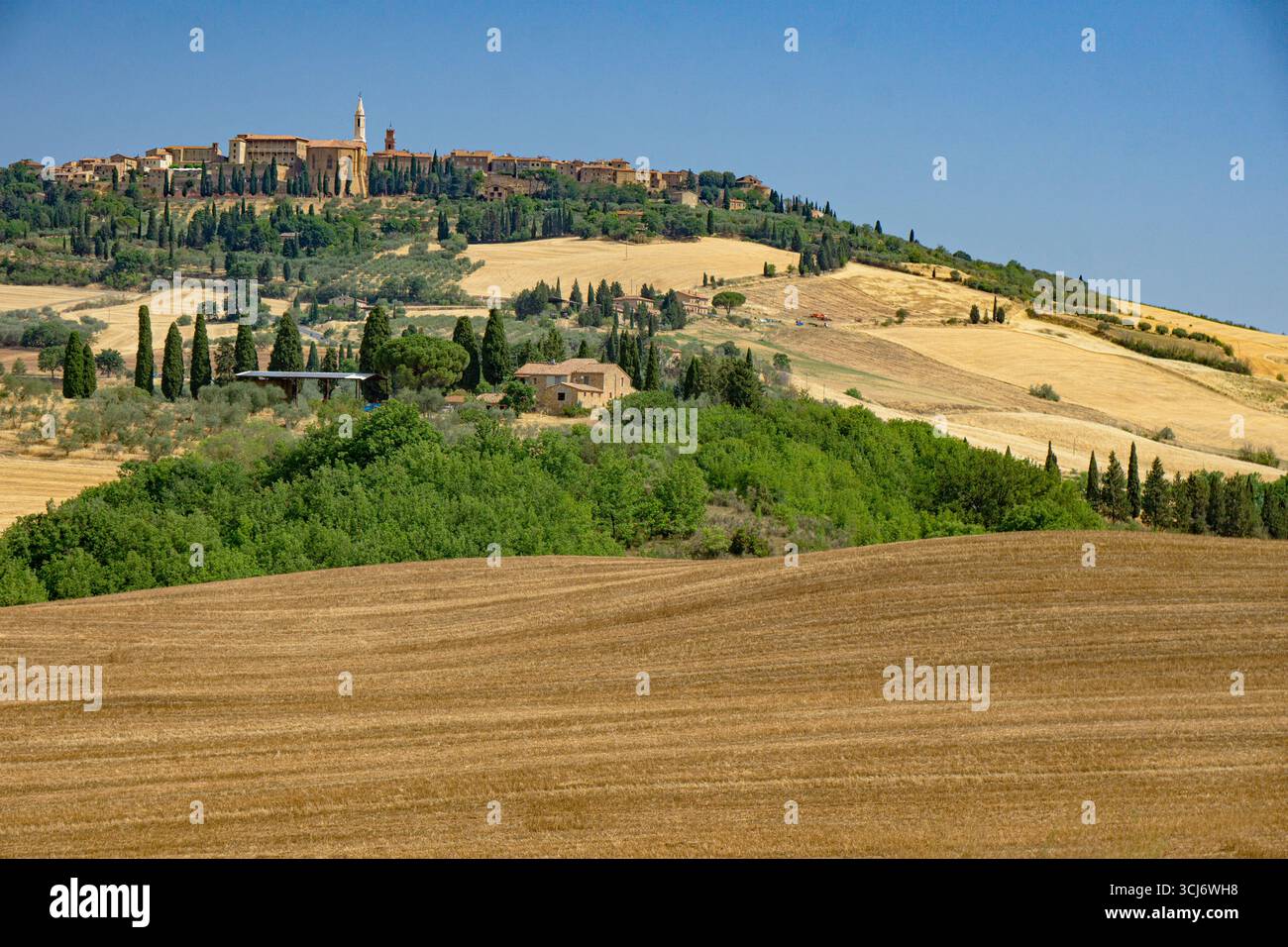 Trees in rolling hilly hi-res stock photography and images - Alamy