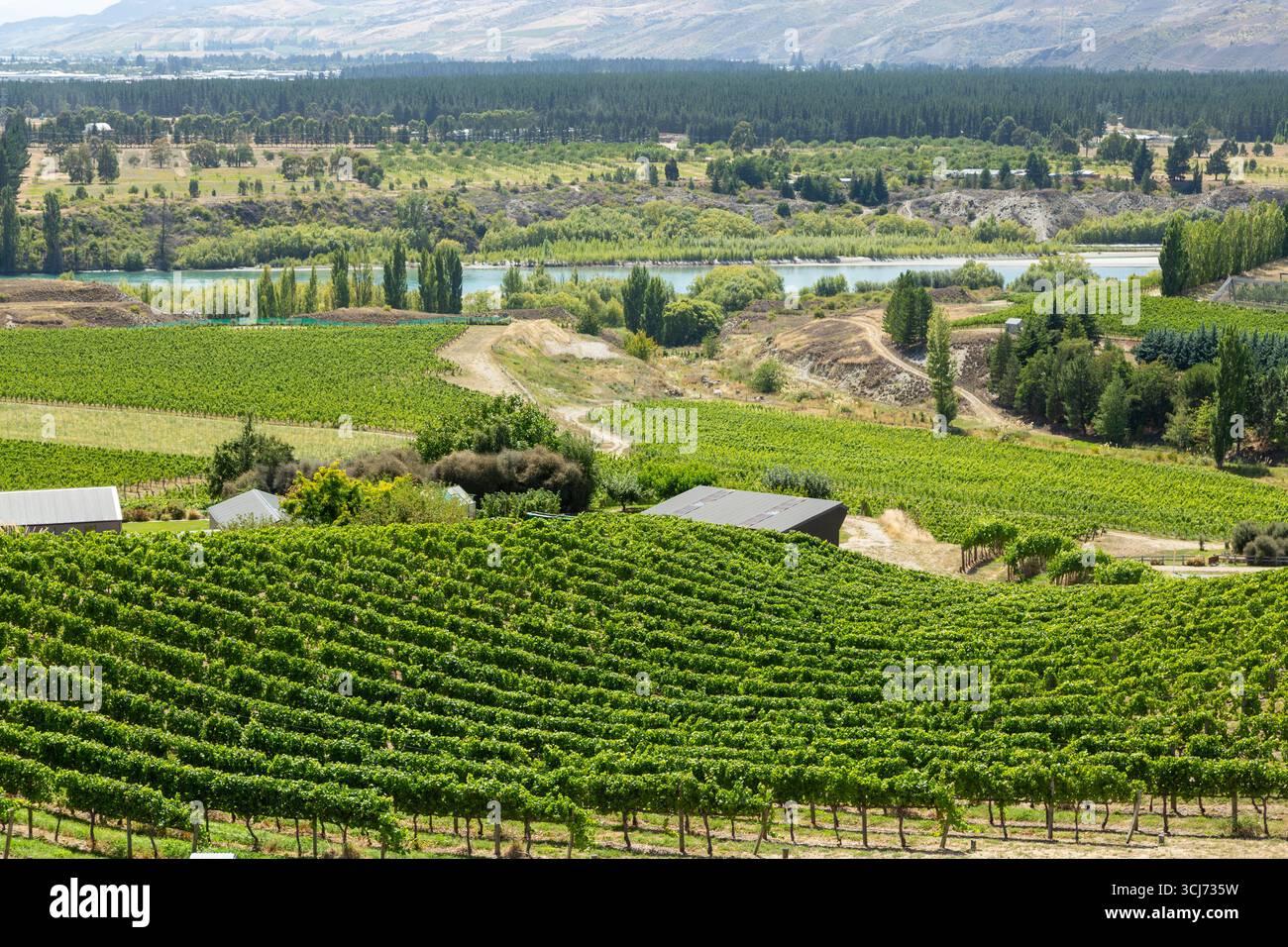 Bannockburn sluicings vineyard hi-res stock photography and images - Alamy