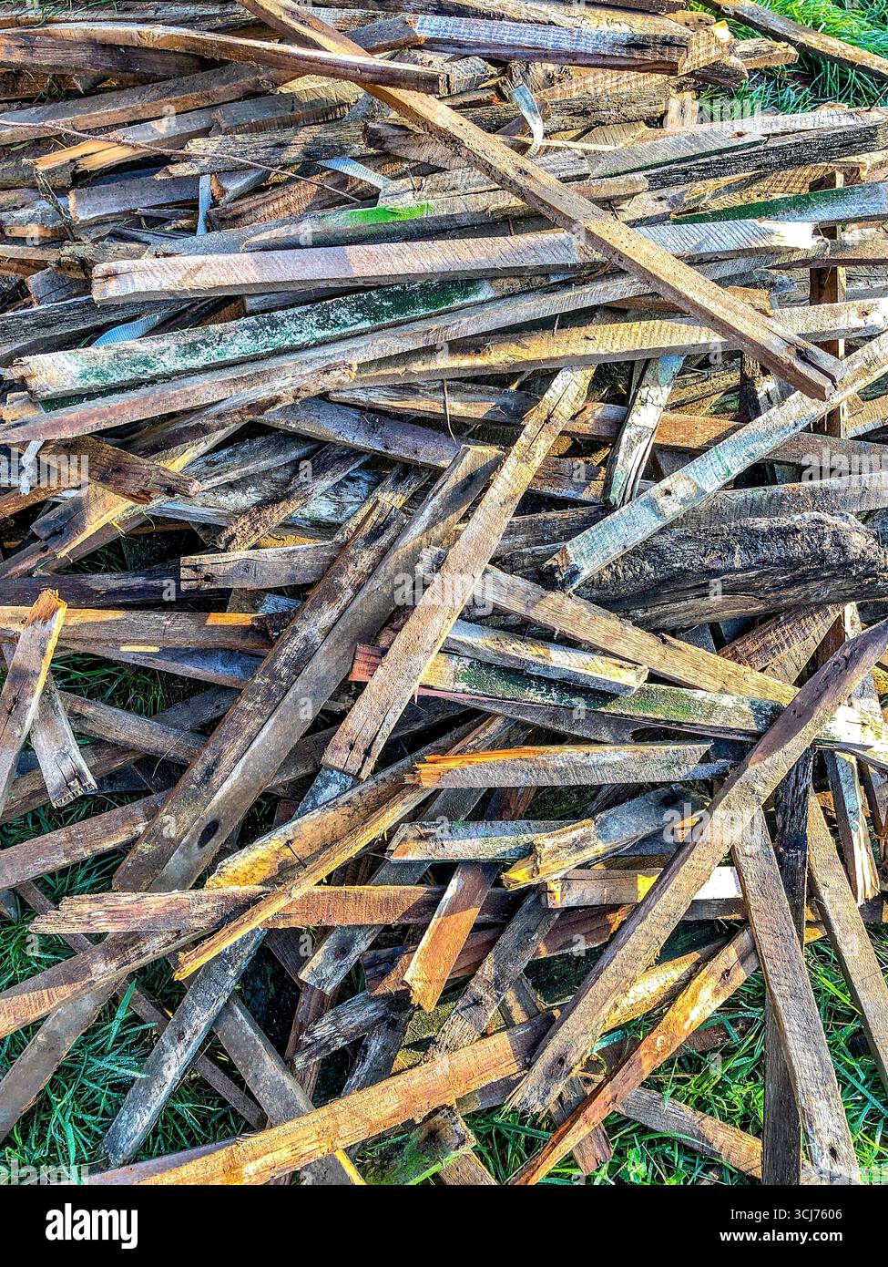 Old roofing laths stripped from re-tiled roof and broken-up for ...