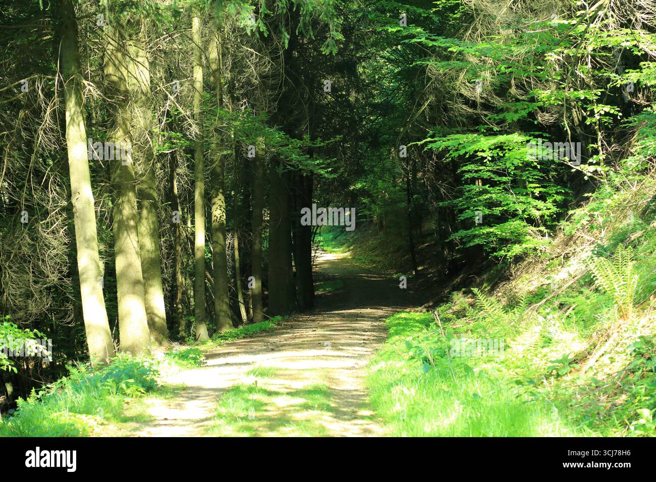 Shaded canopy hi-res stock photography and images - Alamy