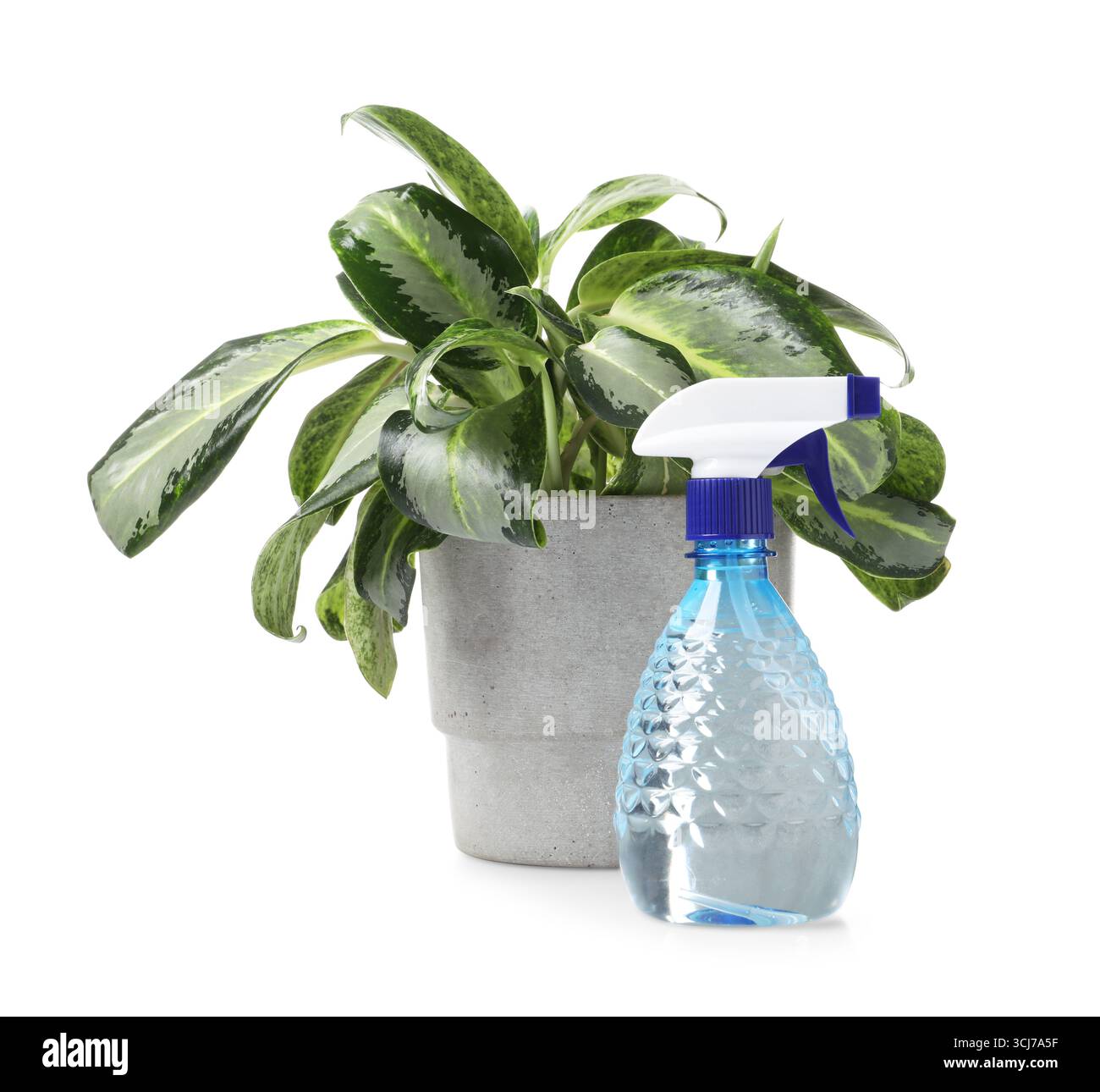 House on water beautiful Cut Out Stock Images & Pictures - Alamy