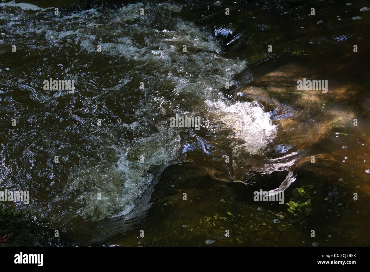 05.09.2025, Ausflug am Bodensee , im Bild: Kleine Wasserfaelle am Bach ...