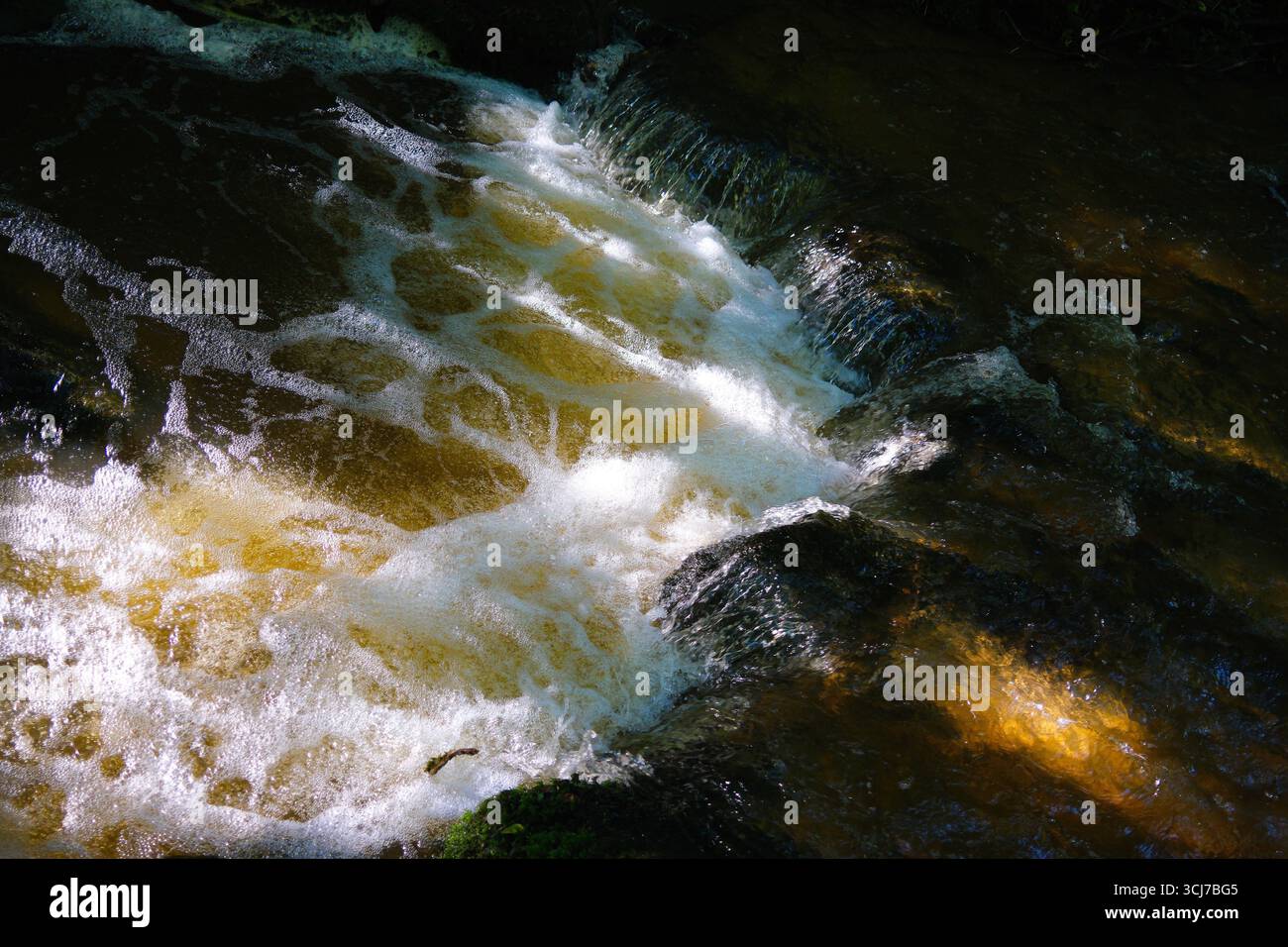05.09.2025, Ausflug am Bodensee , im Bild: Kleine Wasserfaelle am Bach ...