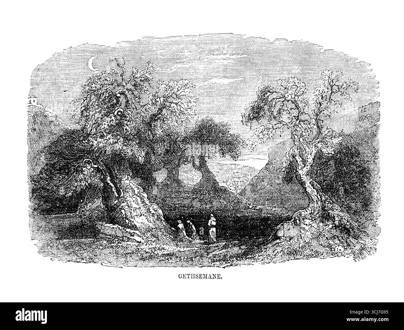 Illustration of the Garden of Gethsemane where Where Jesus Christ ...