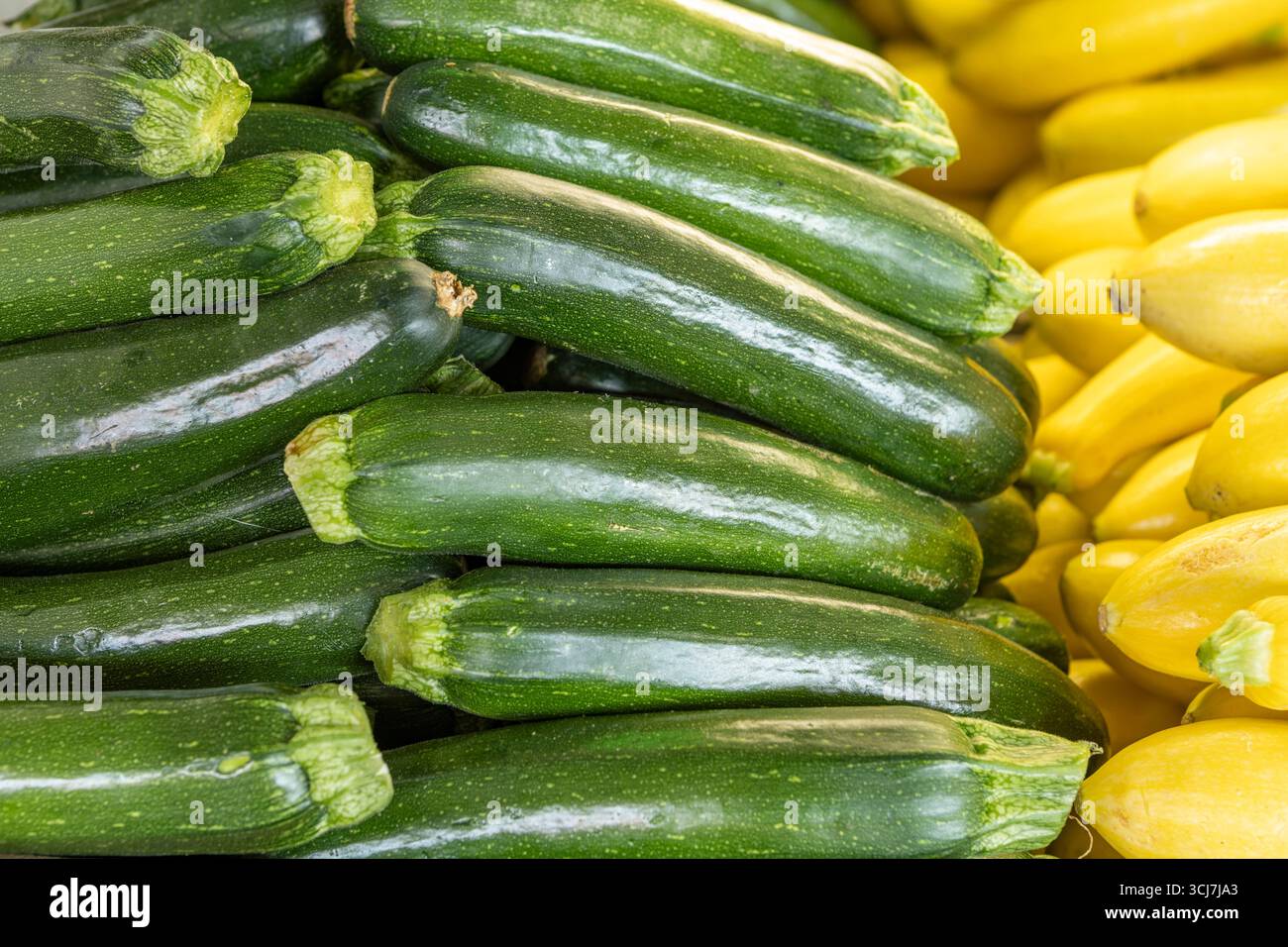 Zucchini farm produce hi-res stock photography and images - Alamy