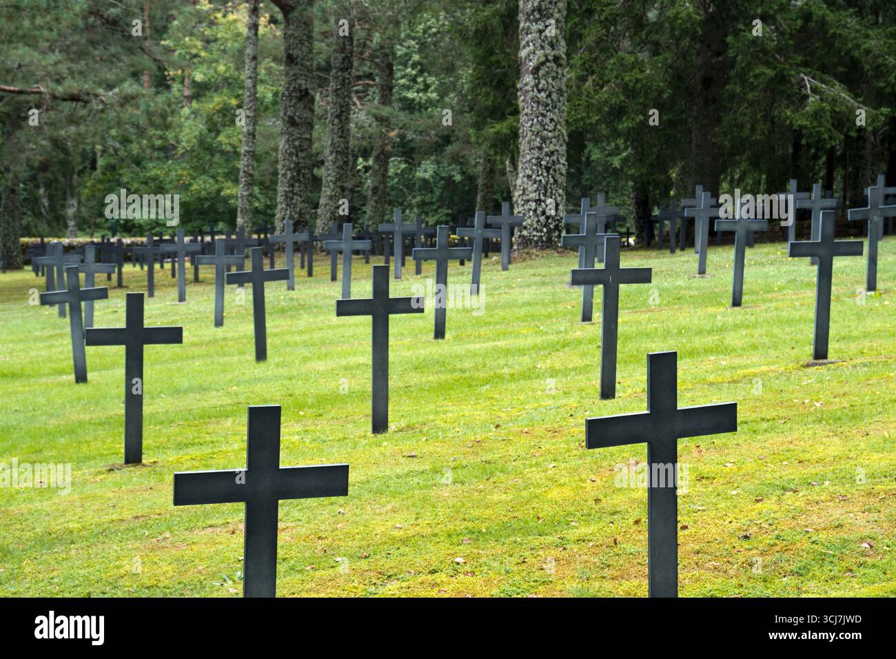 Iron crosses mark graves of German World War One soldiers at the Hohrod ...