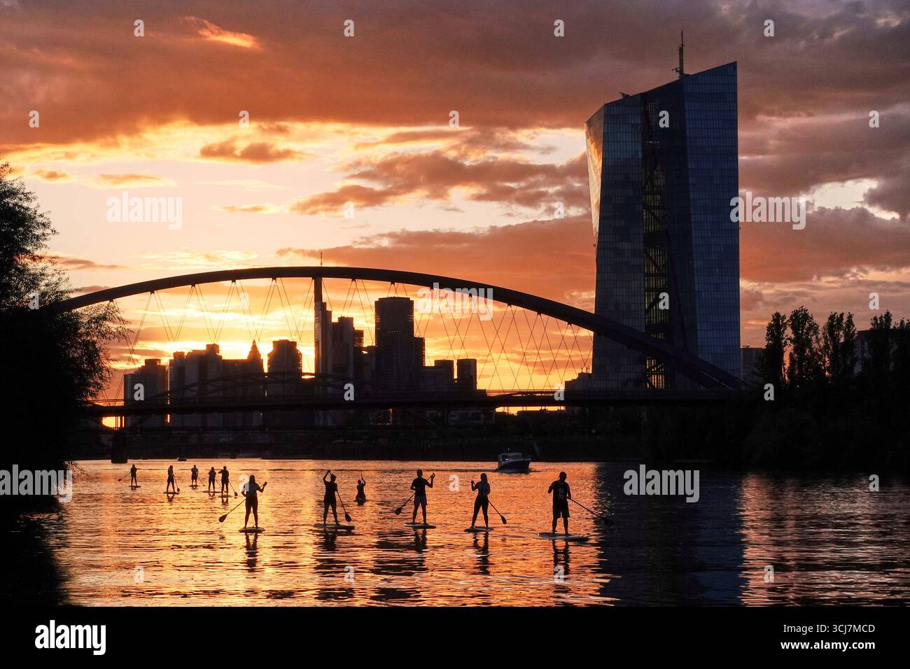 Stand up paddlers are pictured on the river Main with the European ...