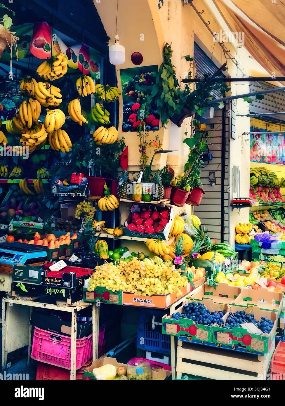 Colorful fruit and vegetable stall in the souk of Tangier, Morocco ...
