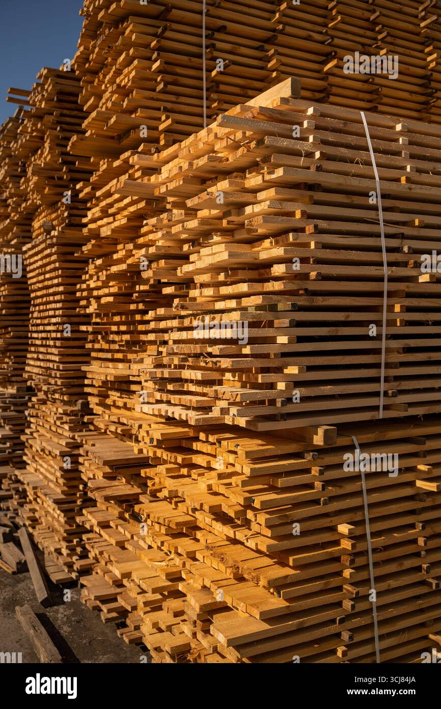 Tall stack sawn timber hi-res stock photography and images - Alamy