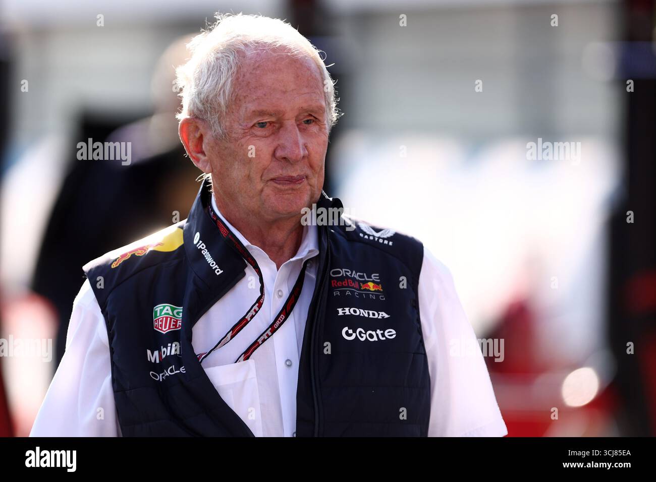Red Bull Racing Team Consultant Helmut Marko looks on during free ...