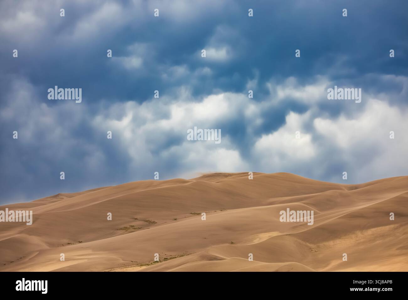 Wind-blown dunes viewed from Mosca Creek Picnic Area in Great Sand ...