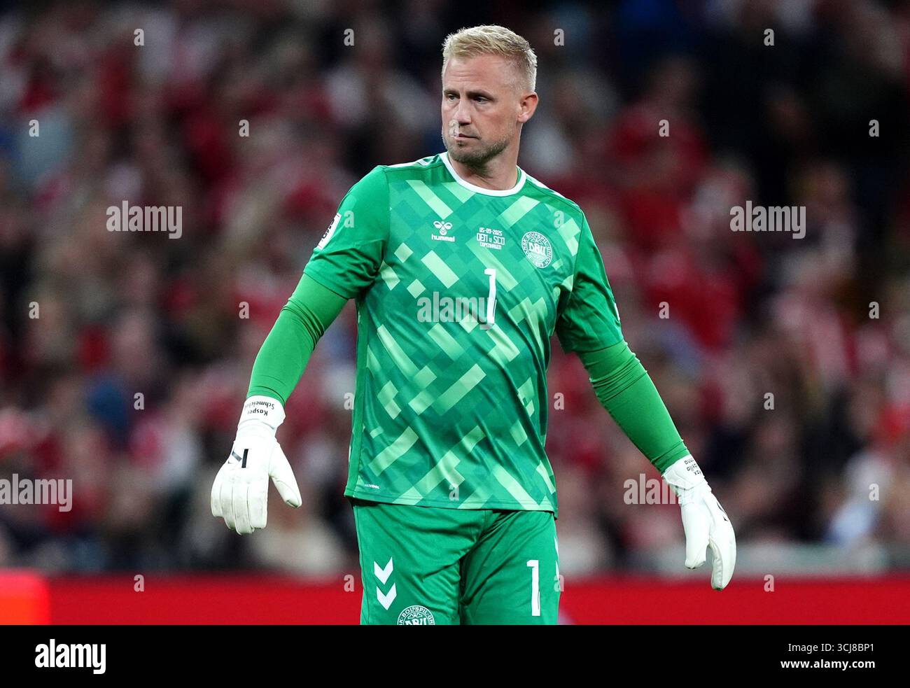 Denmark goalkeeper Kasper Schmeichel during the World Cup European Qualifiers group C match at ...