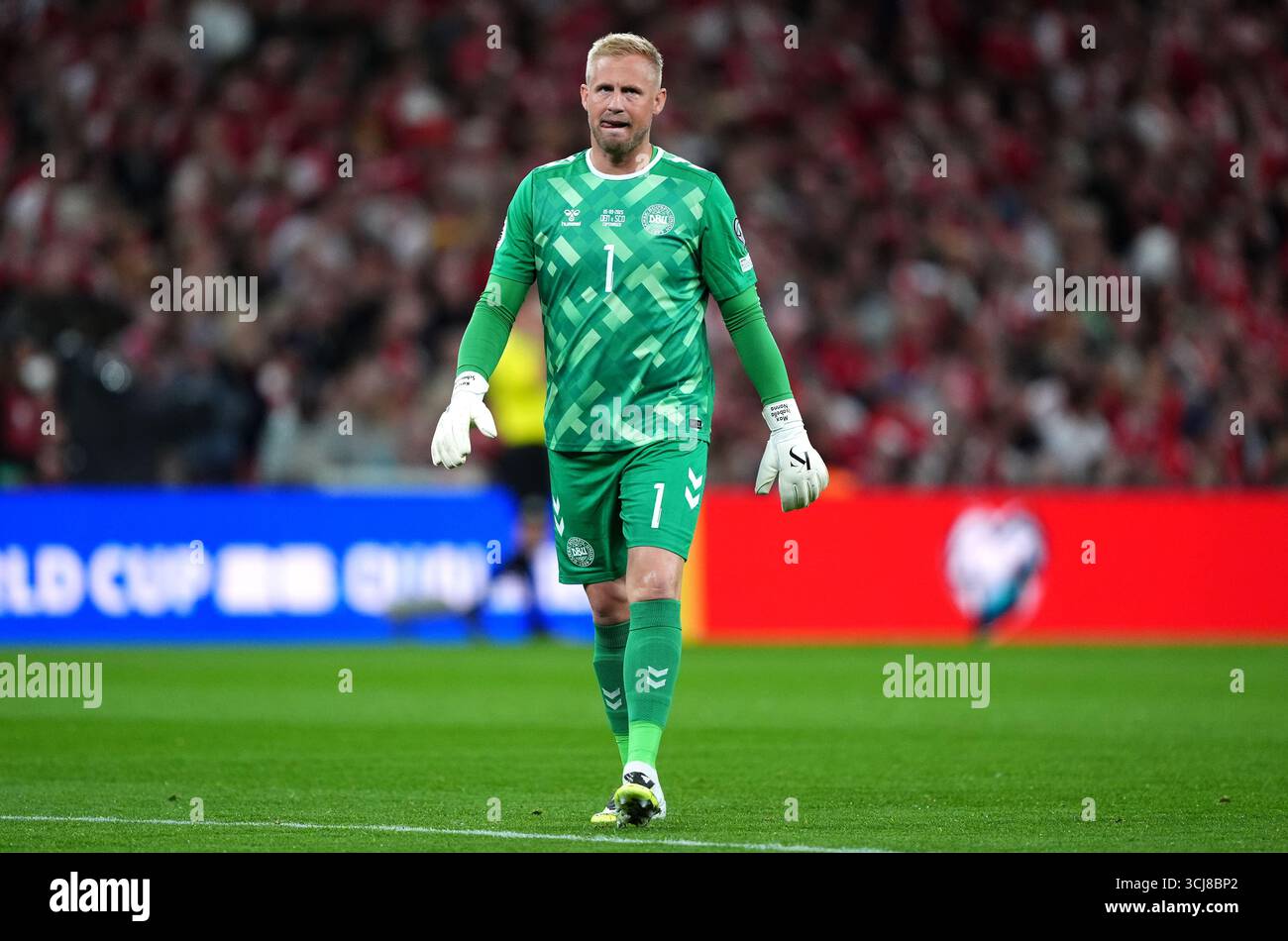 Denmark goalkeeper Kasper Schmeichel during the World Cup European Qualifiers group C match at ...