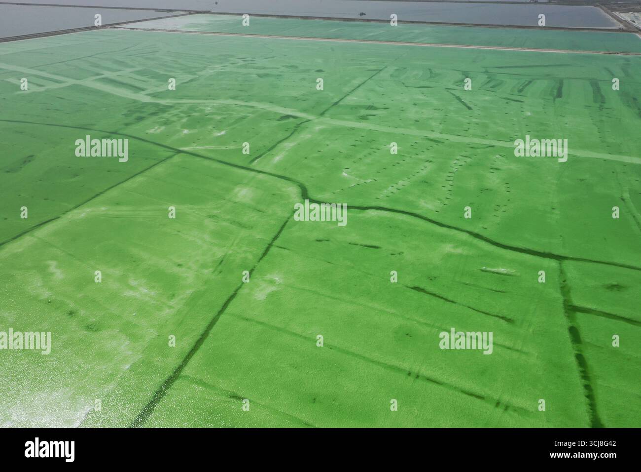 GOLMUD, CHINA - SEPTEMBER 5, 2025 - The picture shows the Qarhan Salt ...