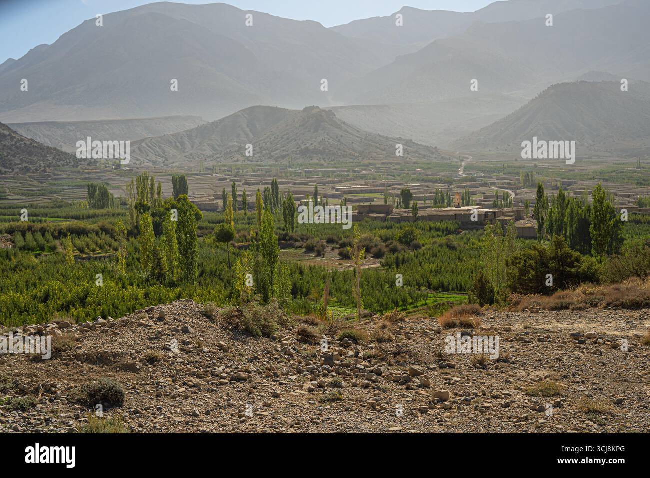 Green valley fields with tall trees and small villages surrounded by ...