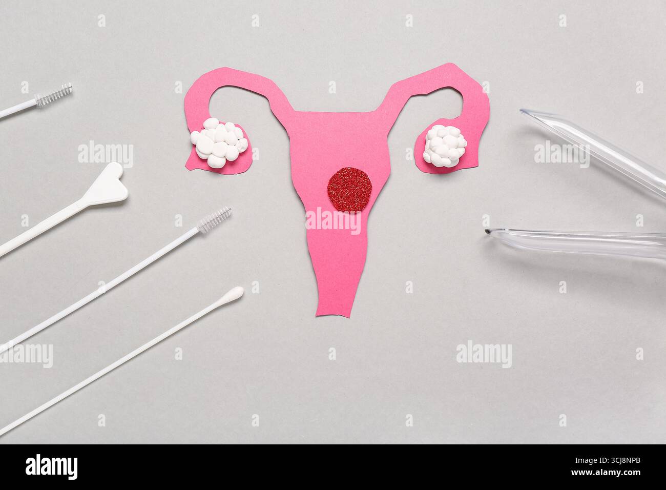 Paper uterus with pap smear test tools and gynecological speculum on ...