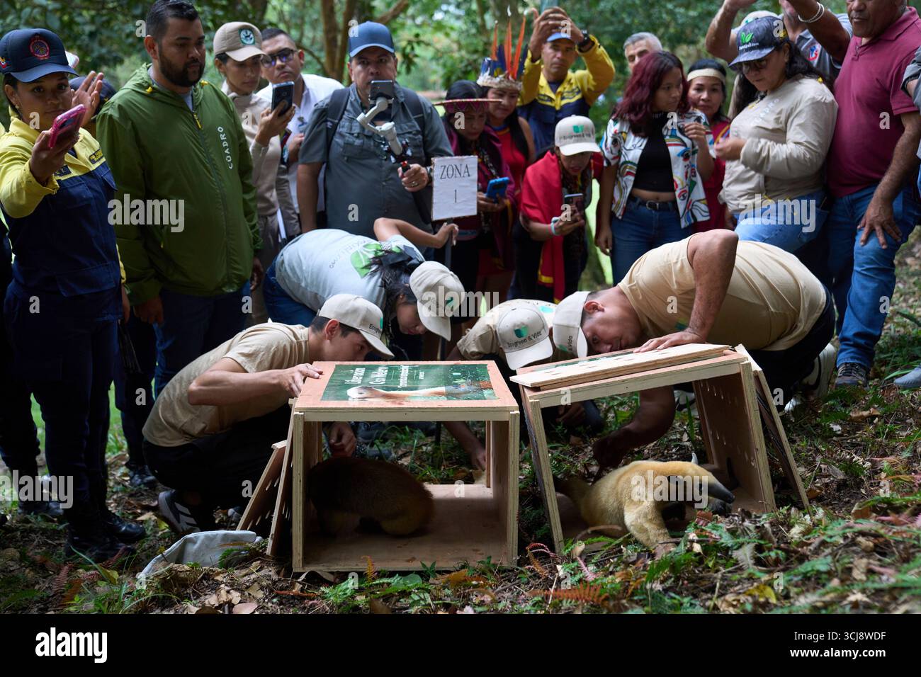 Members of a wildlife rescue and animal farm organization release ...