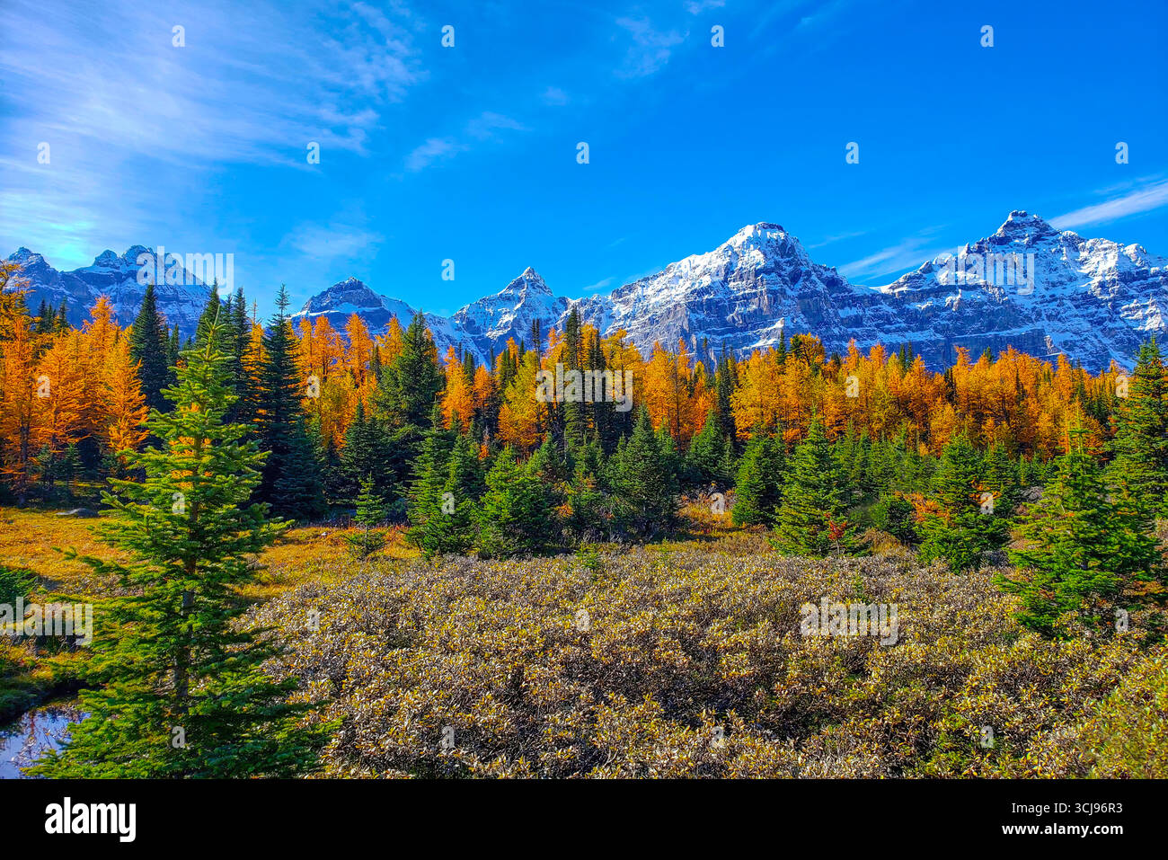 Banff National Park during autumn with colorful foliage and Rocky ...