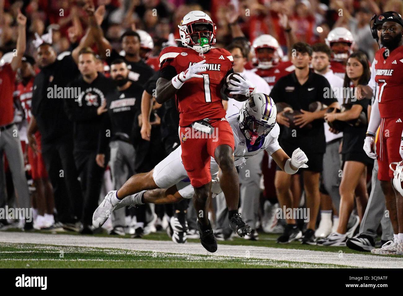 James Madison safety Jacob Thomas, center right, attempts a diving ...
