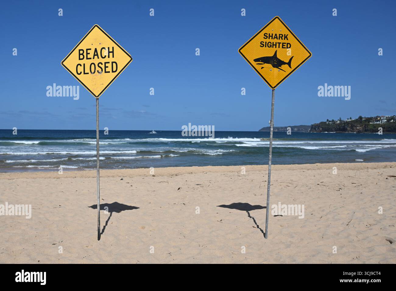 The scene of a fatal shark attack at Long Reef Beach, Dee Why, Sydney ...