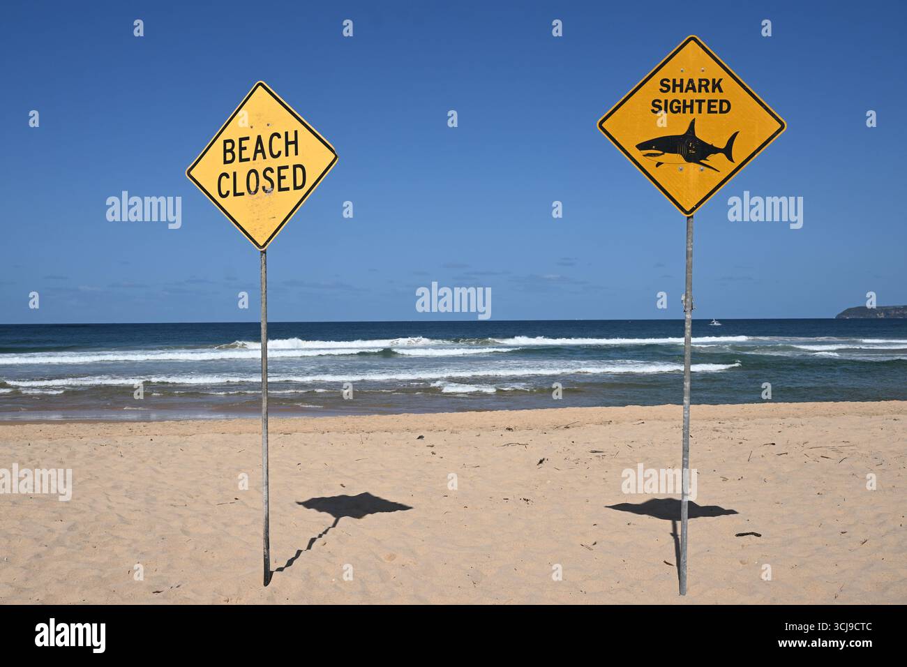 The scene of a fatal shark attack at Long Reef Beach, Dee Why, Sydney ...