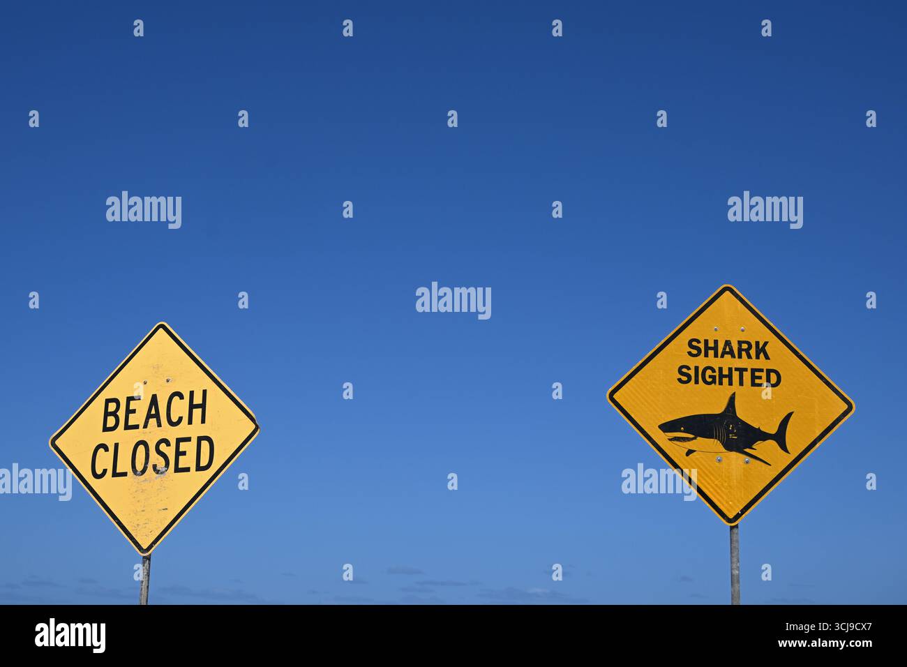 The scene of a fatal shark attack at Long Reef Beach, Dee Why, Sydney ...