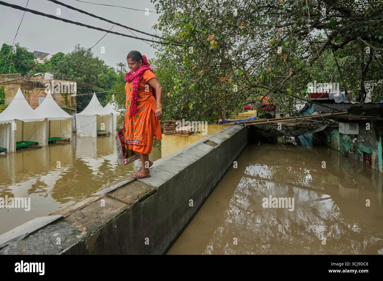 Bindu Pandey, 40, walks on the top of a wall surrounded by flooded ...