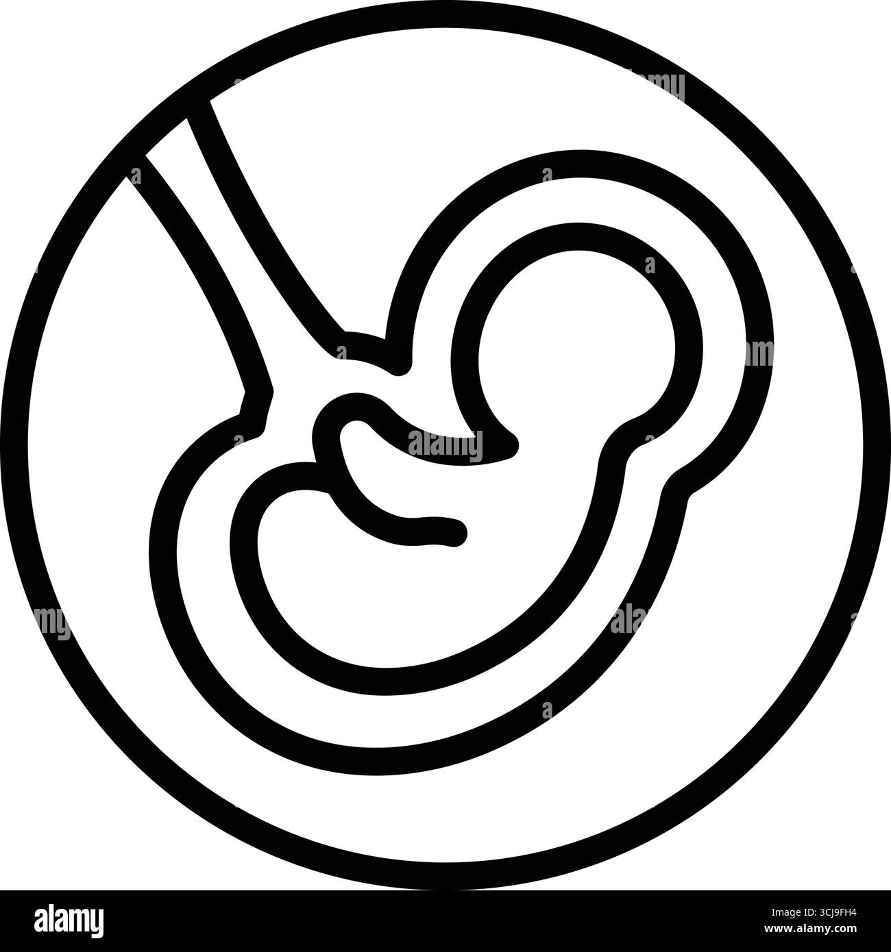 Icon for fetus, umbilical Stock Vector Image & Art - Alamy
