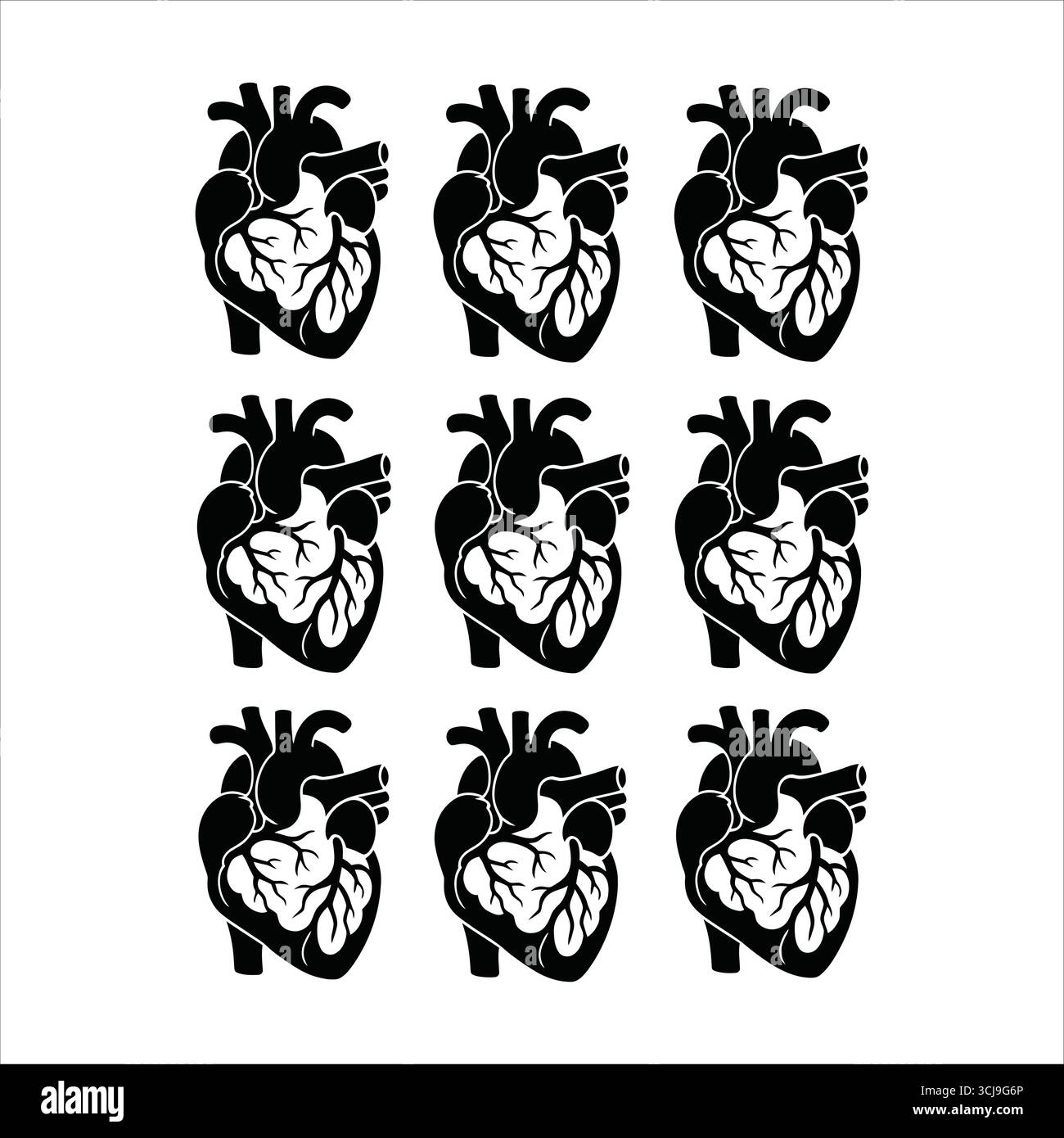 Detailed anatomical Stock Vector Images - Alamy