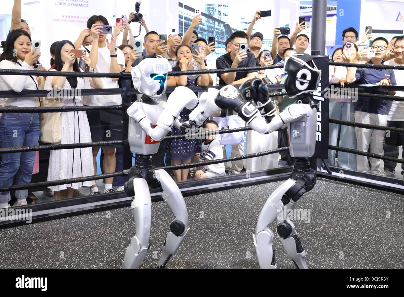 CHONGQING, CHINA - SEPTEMBER 5, 2025 - Viewers watch the humanoid robot fighting competition at ...