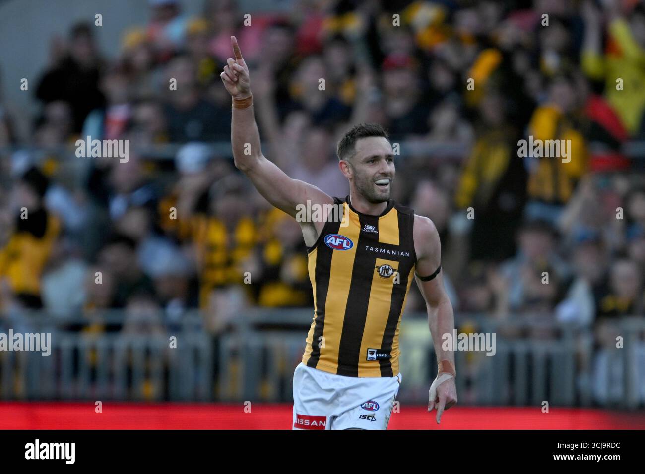 Jack Gunston of the Hawks celebrates after kicking a goal during the ...