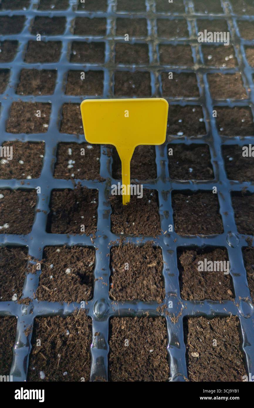 Alvéolos hi-res stock photography and images - Alamy