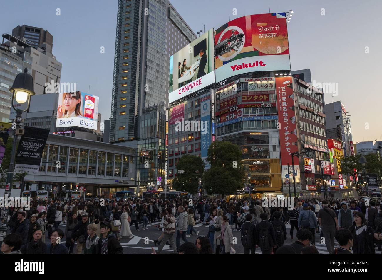 Crowd crossing the zebra crossings of Shibuya Crossing, world-famous ...