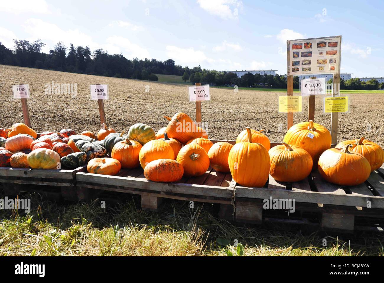 05.09.2025, Linz, AUT, Unterwegs in Oberösterreich, Symbolbild ...