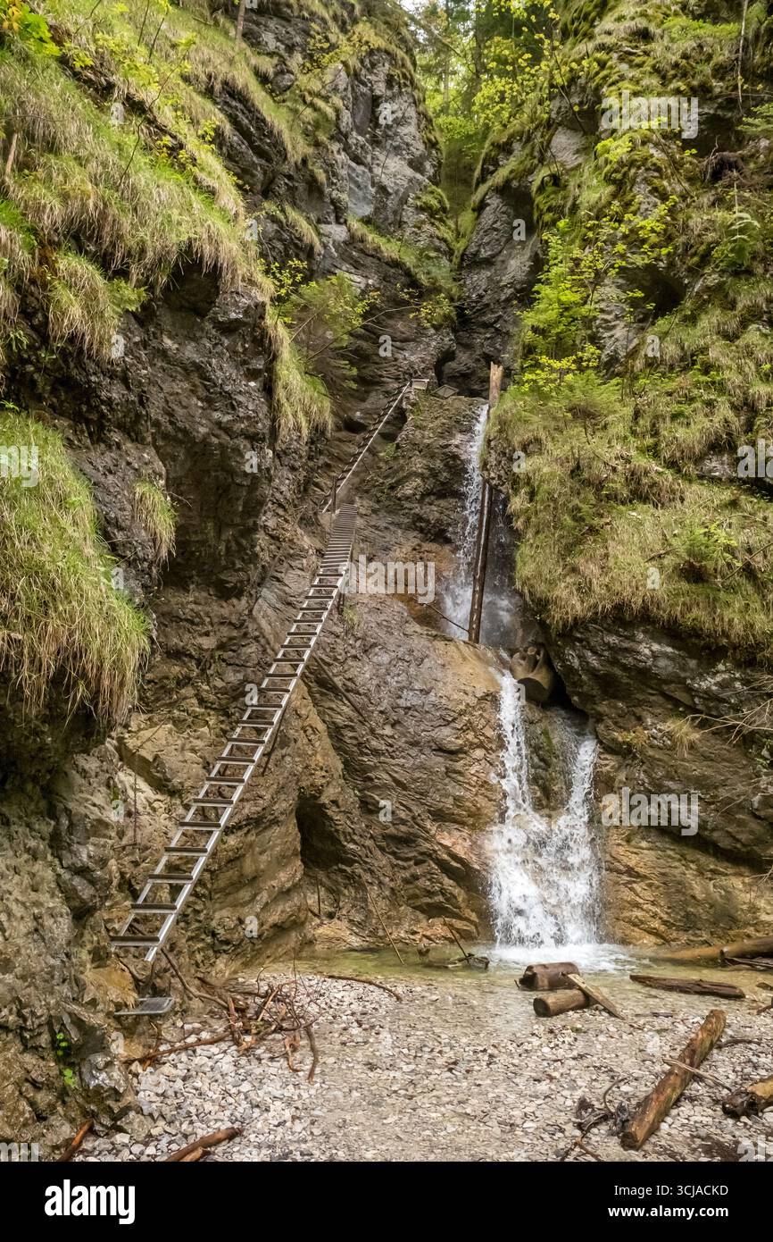 Sucha bela canyon slovak hi-res stock photography and images - Alamy