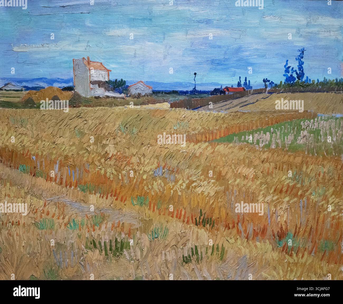 Vincent van Gogh "Wheat field" 1888. Oil on canvas; a wheatfield near ...