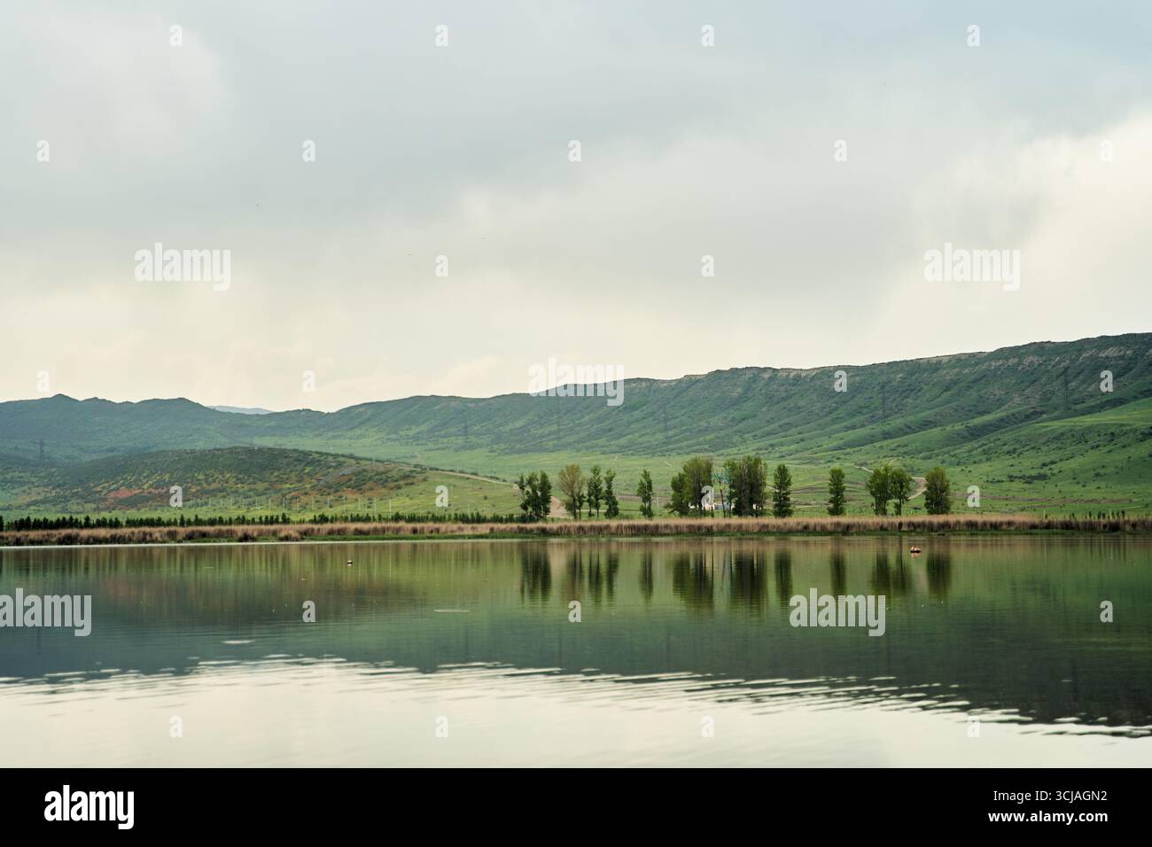 View of the beautiful lake Lisi. Lisi Park in Tbilisi, Georgia Stock ...