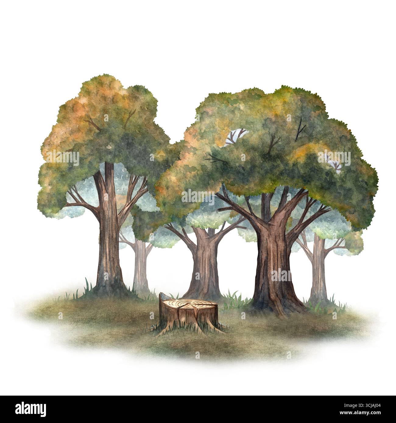 Watercolor oak forest clearing with tree stump, perfect for backgrounds ...